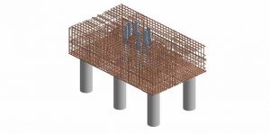 Reinforcement 2D, 3D Rebar Detailing Precast Drawings-Paradigm