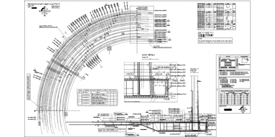 Reinforcement 2D, 3D Rebar Detailing Precast Drawings-Paradigm
